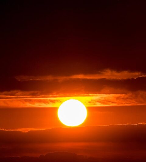 Annie Rhodes - Yorkshire Air Ambulance